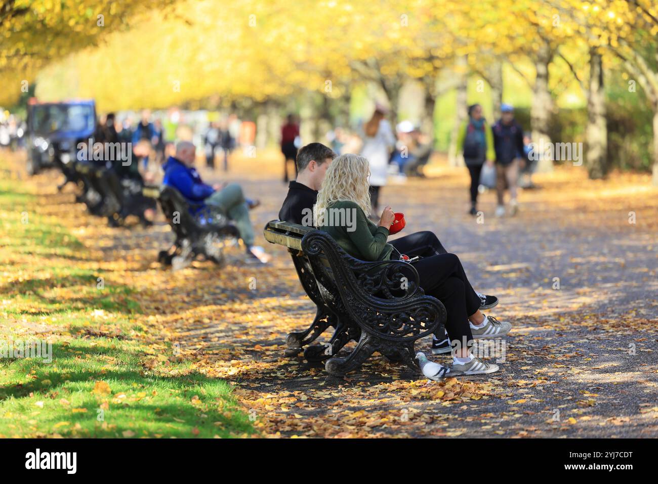 Autumn colours on the Broad Walk in Regents Park, London, UK Stock ...