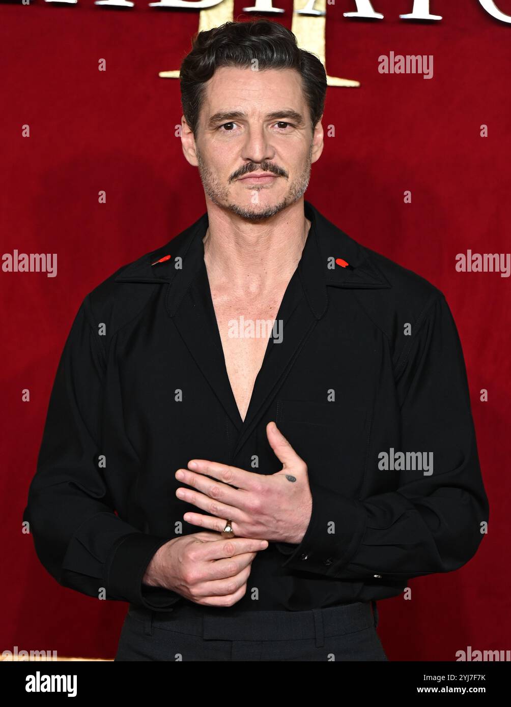 LONDON, UK. 11th Nov, 2024. Pedro Pascal attends "Gladiator II" The Royal Film Performance And ...