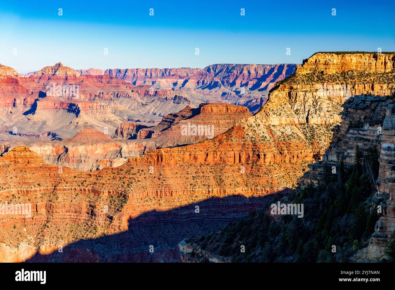 View from Yavapai Point; Grand Canyon National Park; Arizona: USA Stock ...