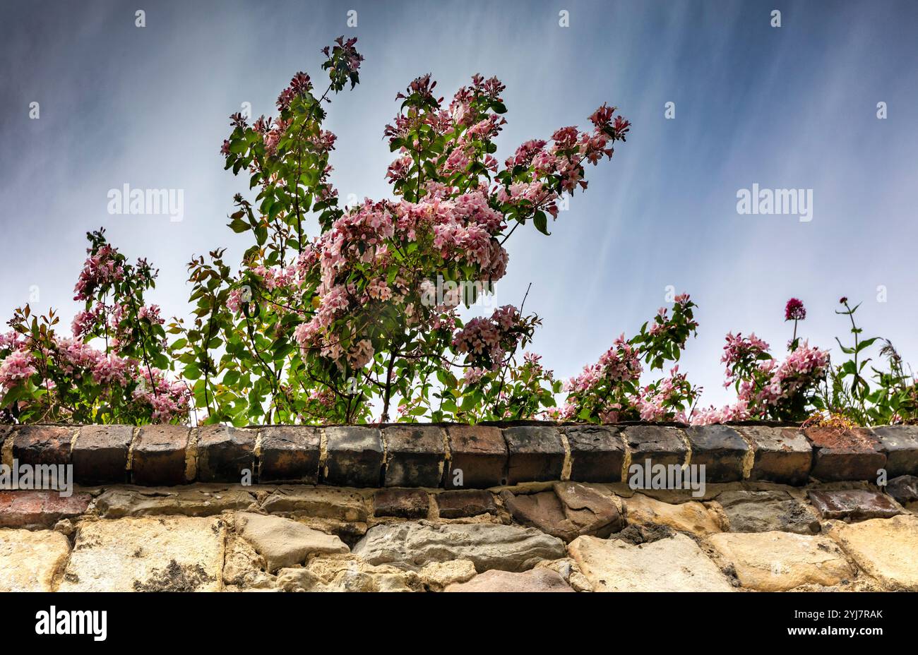 Canterbury, a historic town in Kent, southeastern England Stock Photo ...