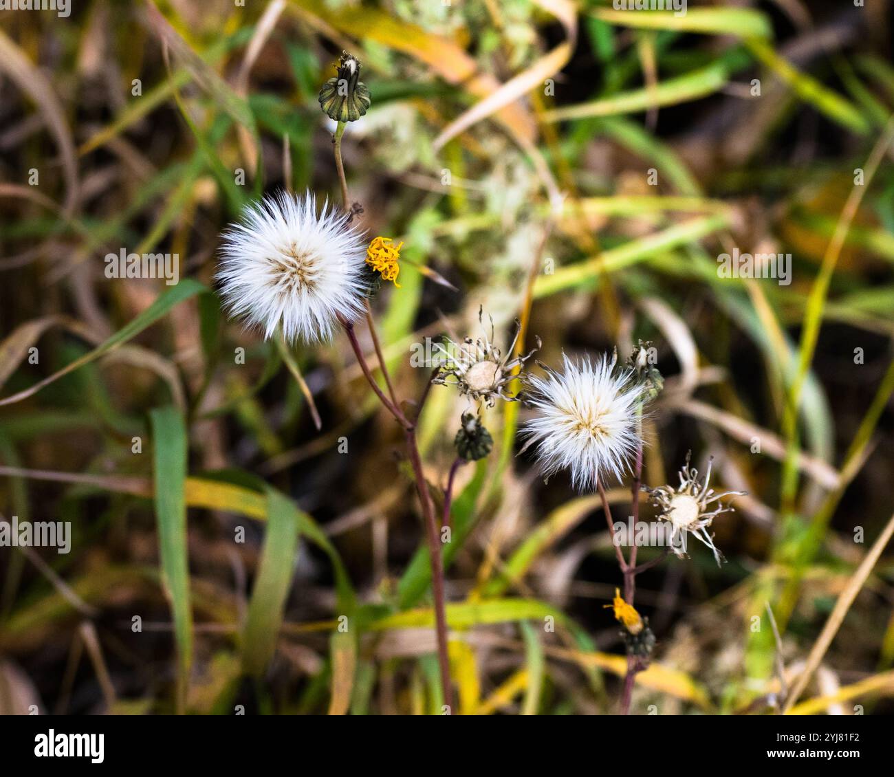 Eye catching scenery hi-res stock photography and images - Alamy
