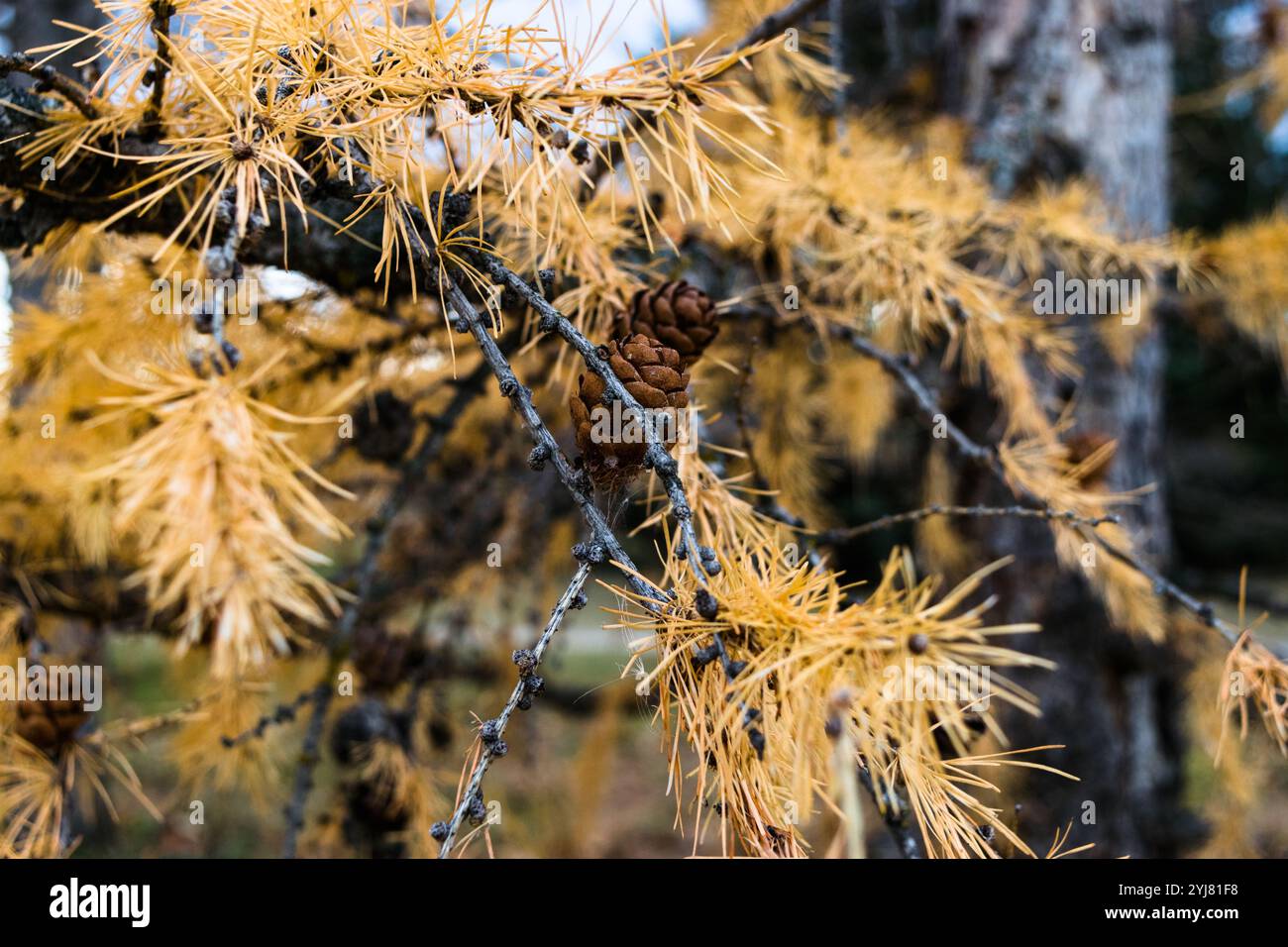 Eye catching scenery hi-res stock photography and images - Alamy