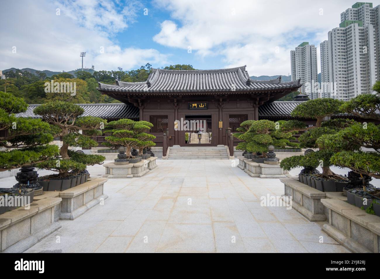Chi Lin Nunnery Entrance with Bonsai Trees in Hong Kong Stock Photo - Alamy