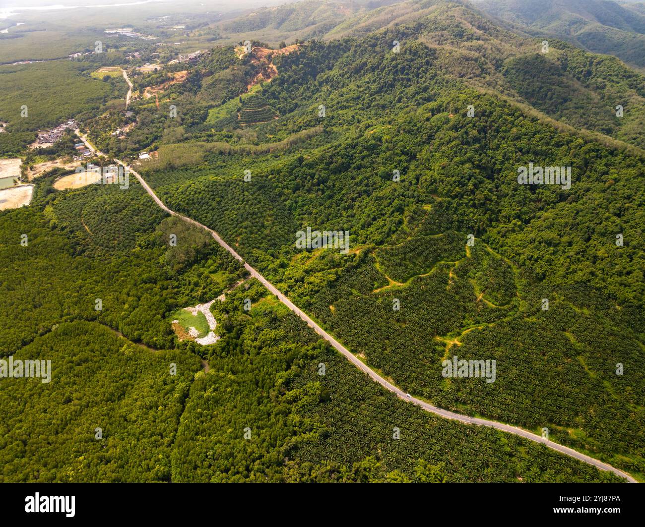 Aerial view Tropical Rainforest trees mountains,Top view green forest ...