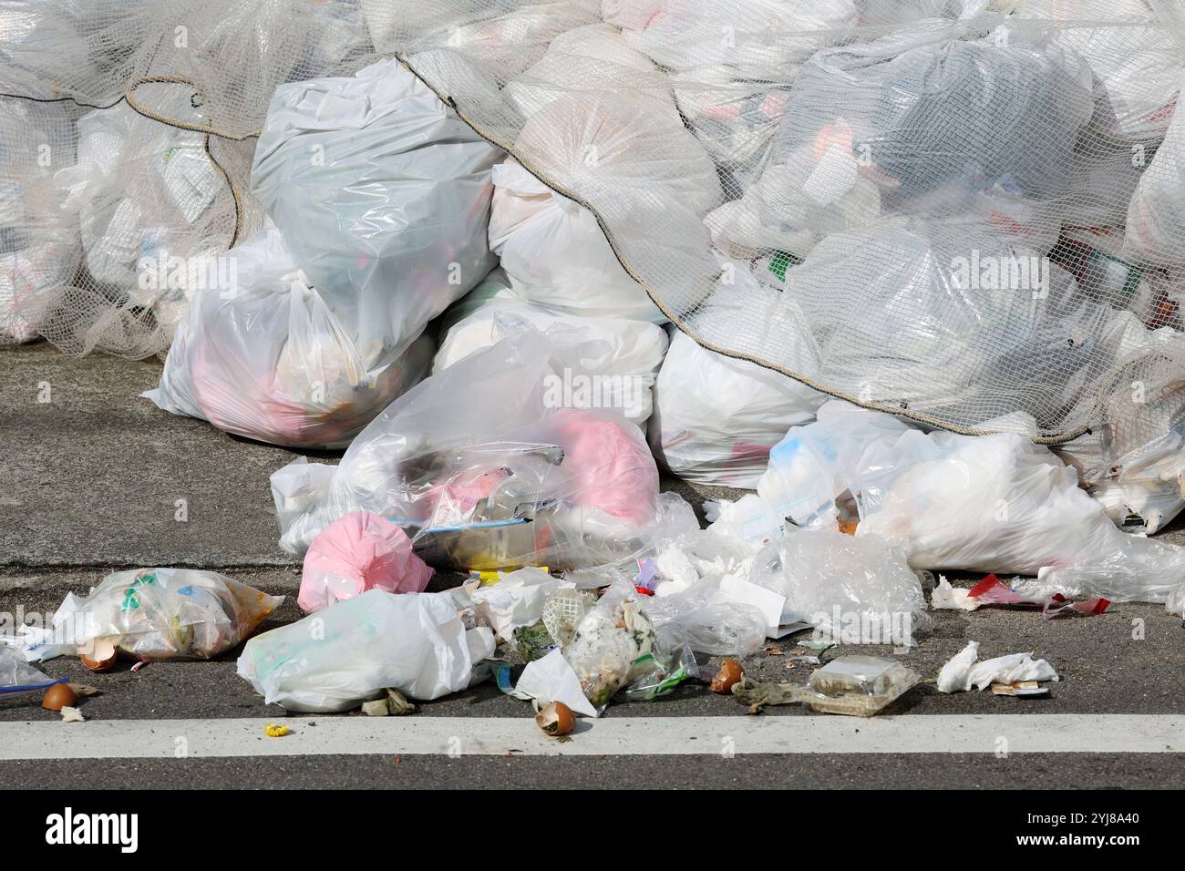 Sorted raw garbage bags or waste bag. Garbage devoured by crows Stock ...