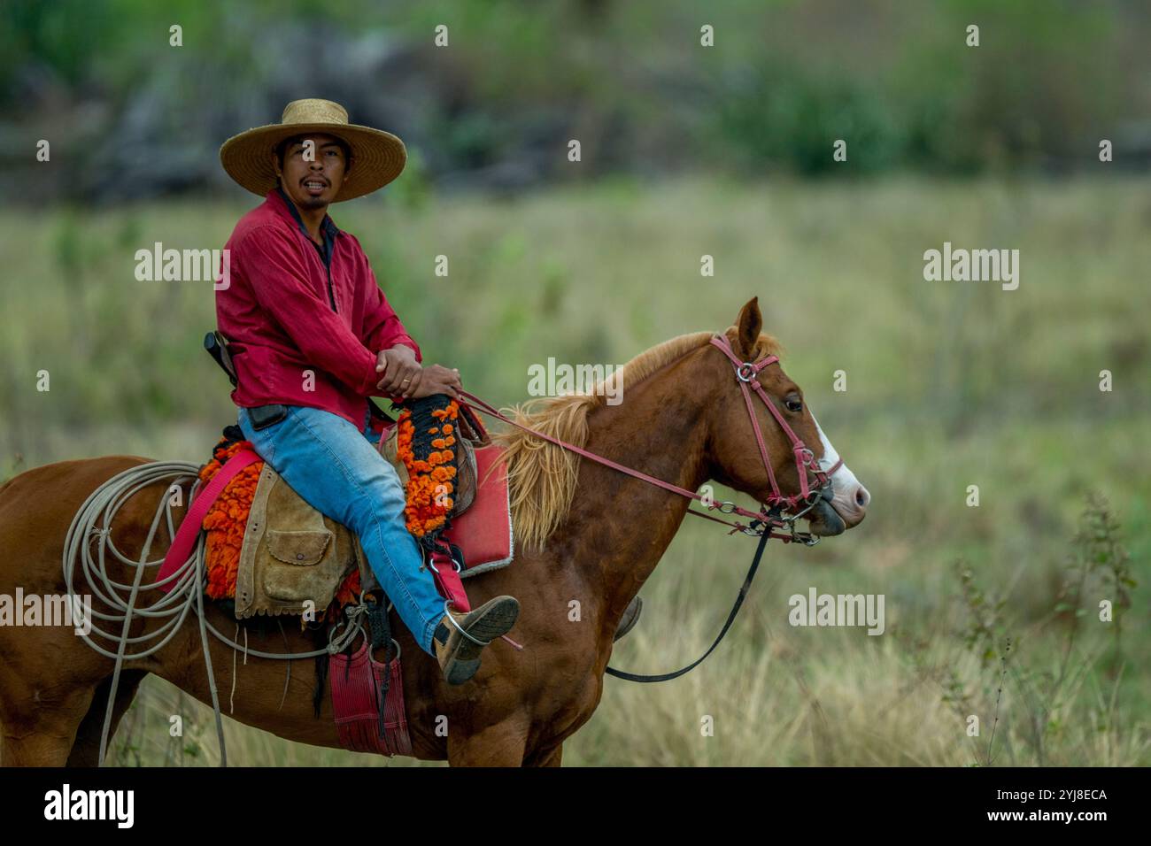 A Pantaneiro (local cowboy) on his horse at the Aguape Lodge in the ...