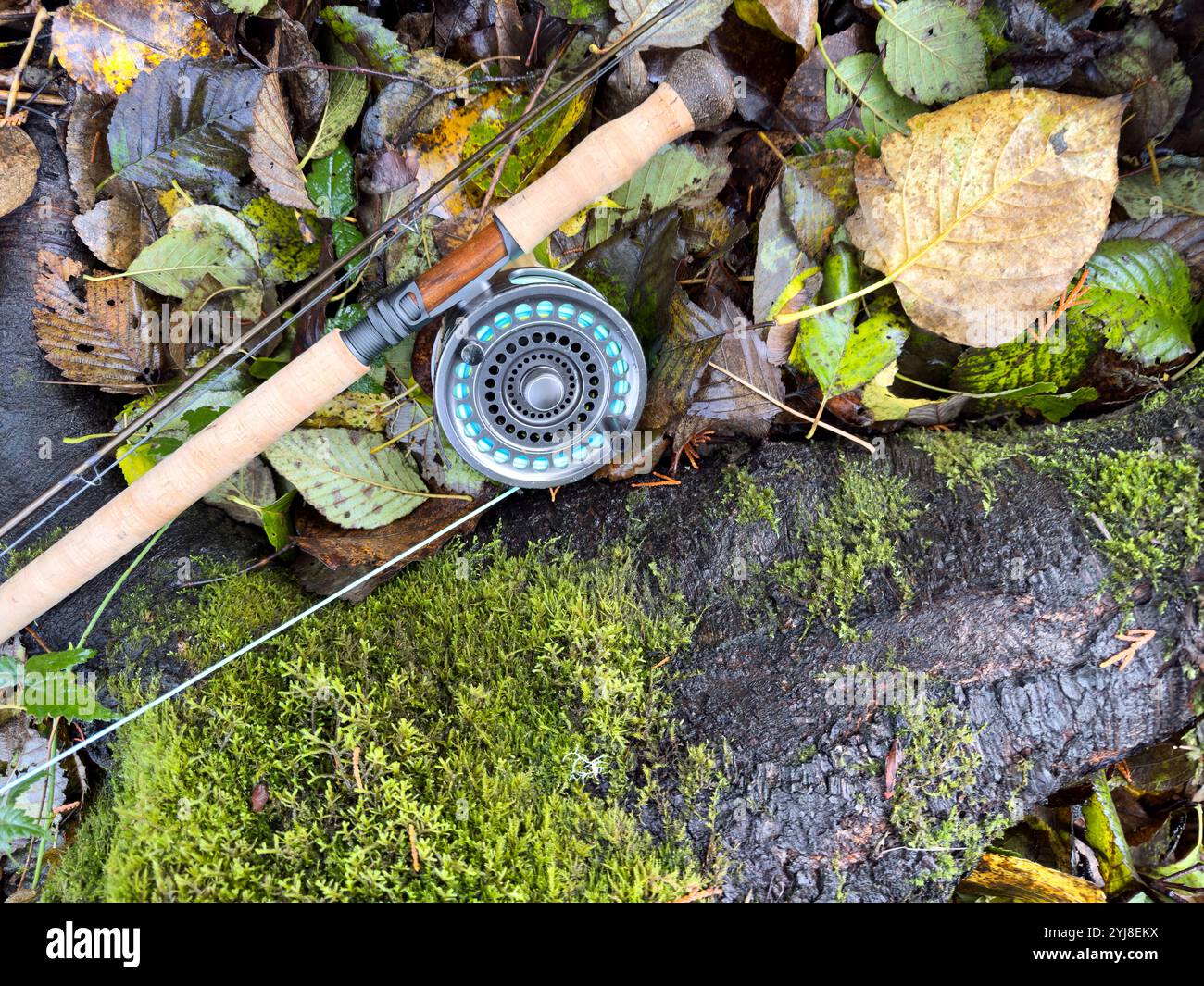 Fishing fall hi-res stock photography and images - Alamy