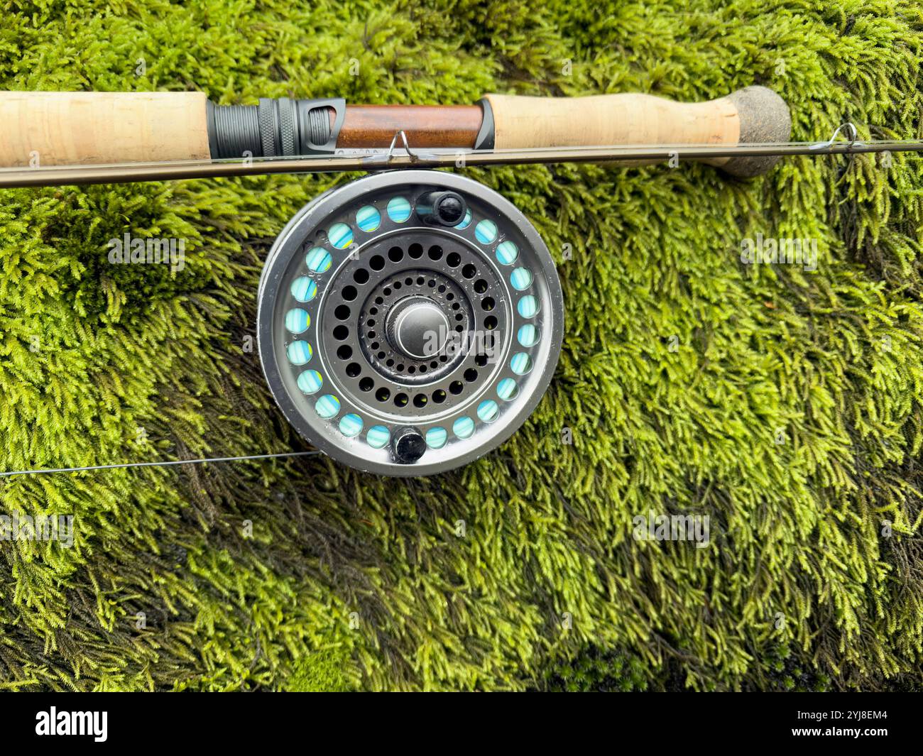 Fly fishing reel and rod with thick green moss background Stock Photo ...