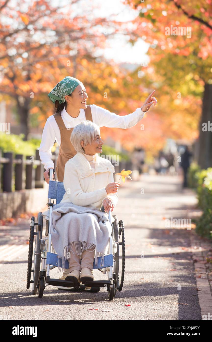 Senior woman in wheelchair and nursing helper Stock Photo - Alamy