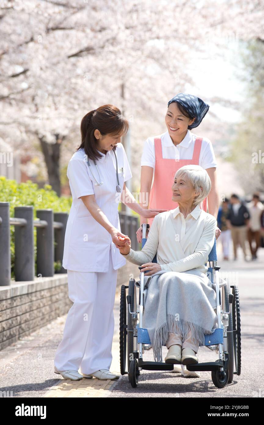 Cherry blossoms and female doctor and elderly woman in wheelchair and nursing helper Stock Photo ...
