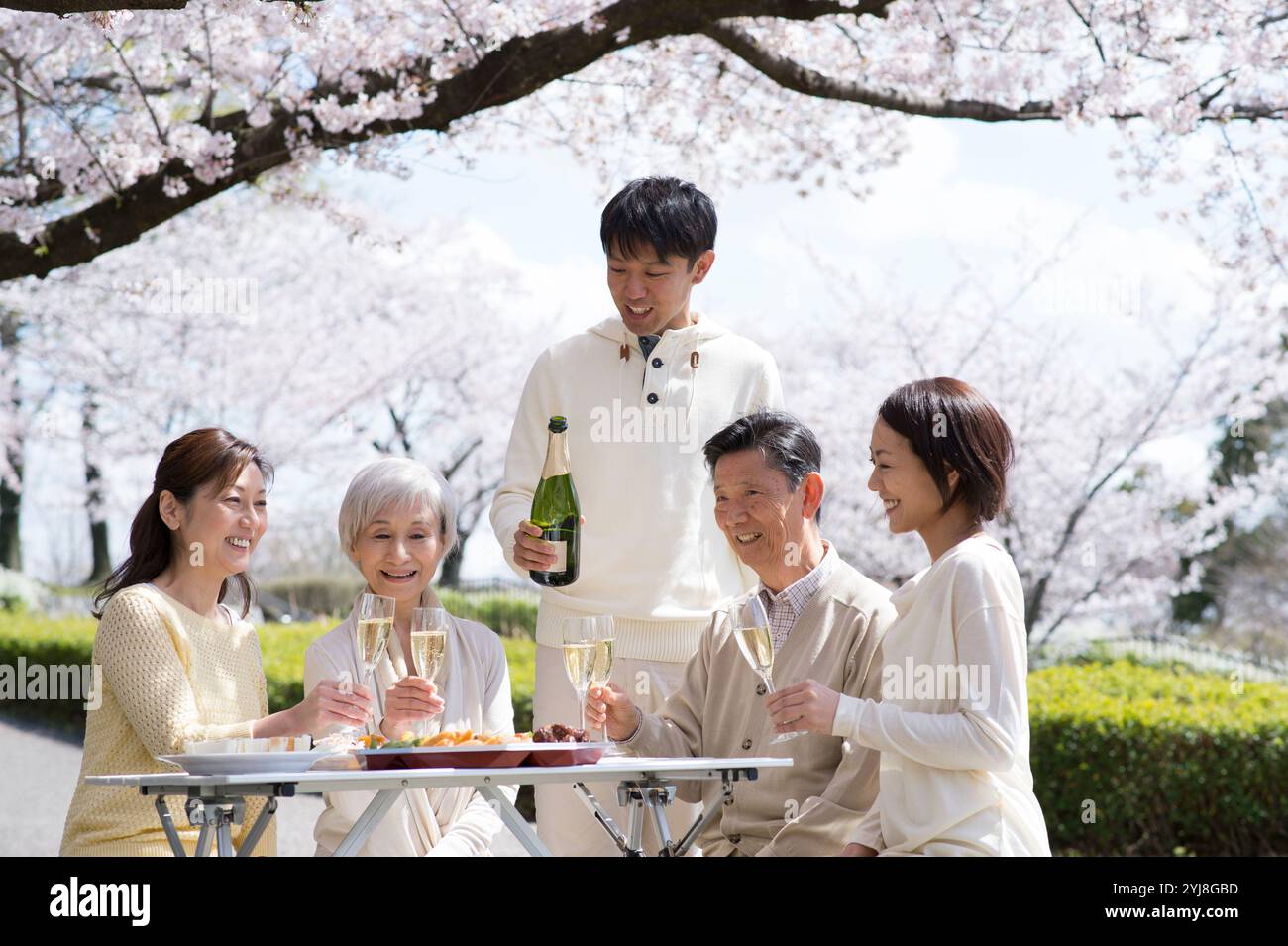 Three-generation family drinking champagne at hanami Stock Photo - Alamy