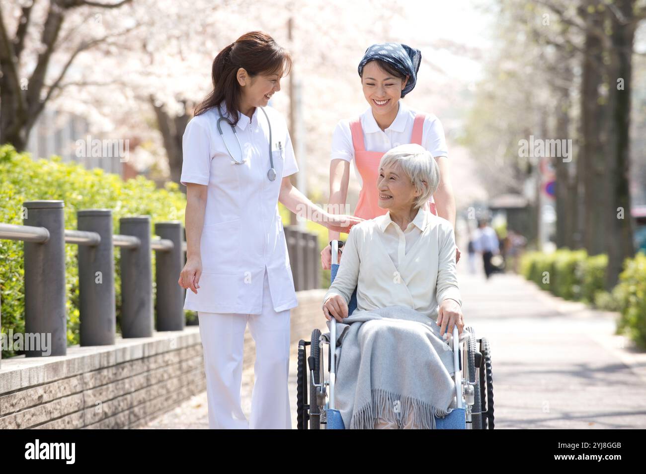 Cherry blossoms and female doctor and elderly woman in wheelchair and ...