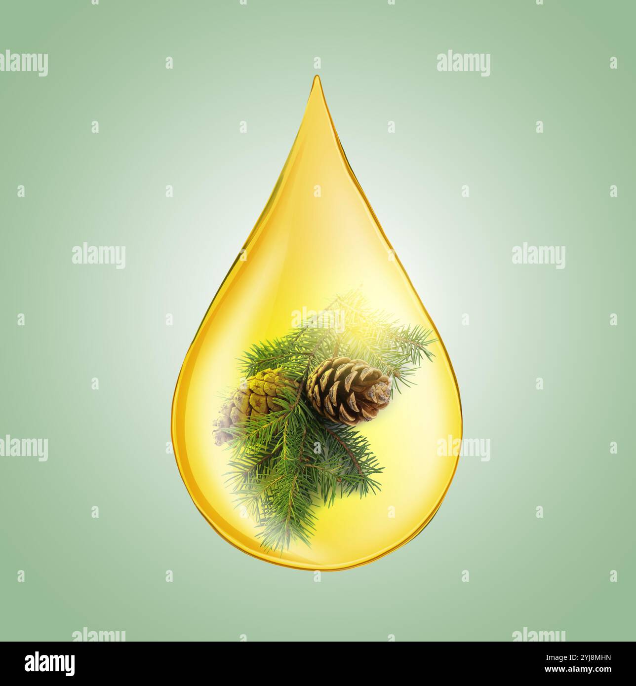 Olive green fir hi-res stock photography and images - Alamy