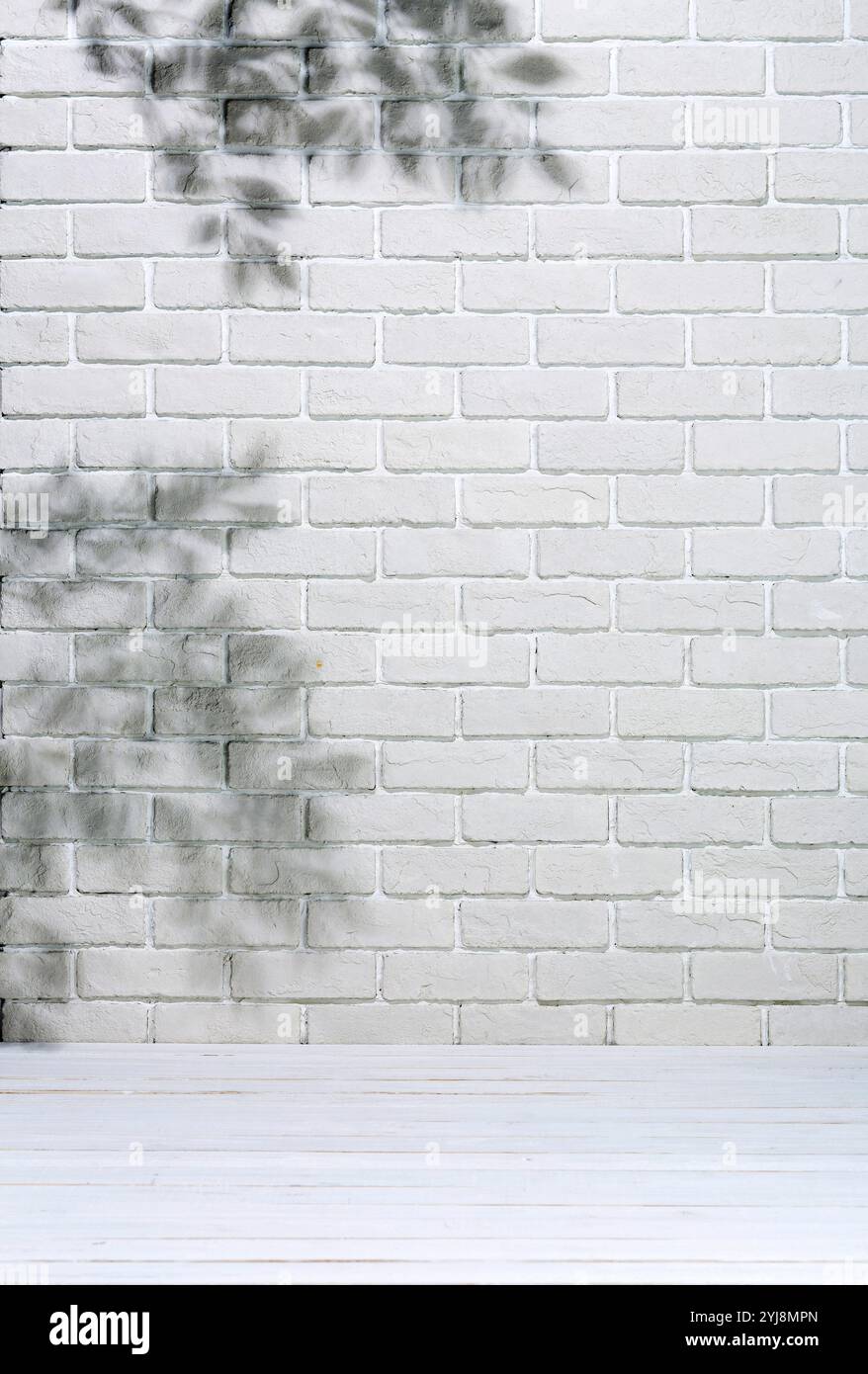 White wall and shade tree Stock Photo - Alamy