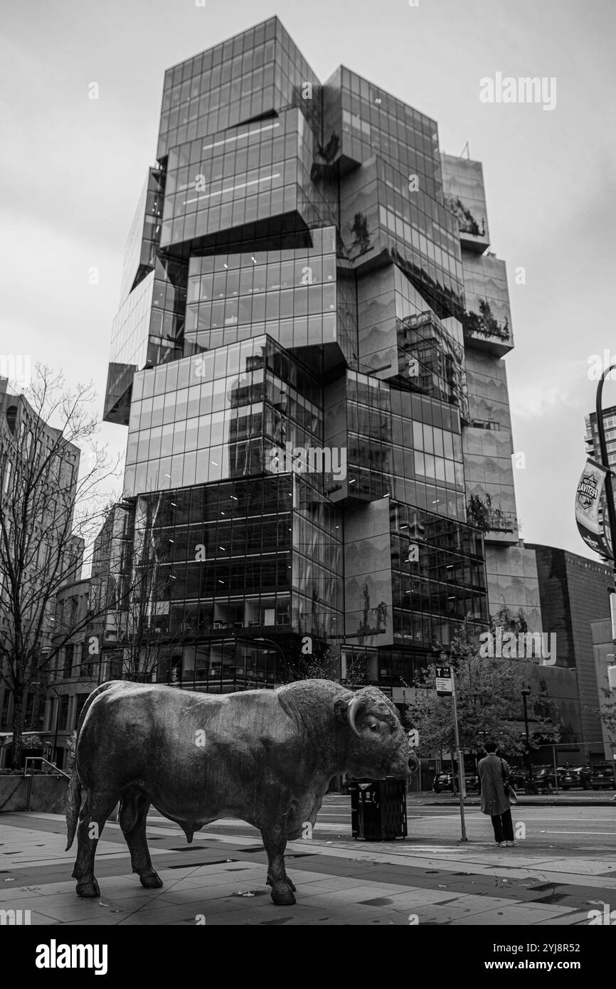 bull in front of building in Vancouver city Stock Photo - Alamy
