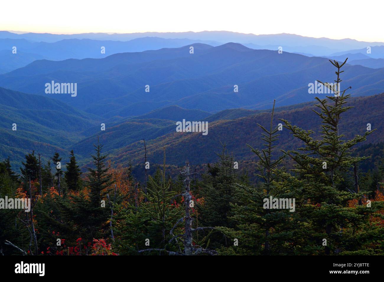 Hills in the Great Smokey Mountains National Park, covered in autumn ...