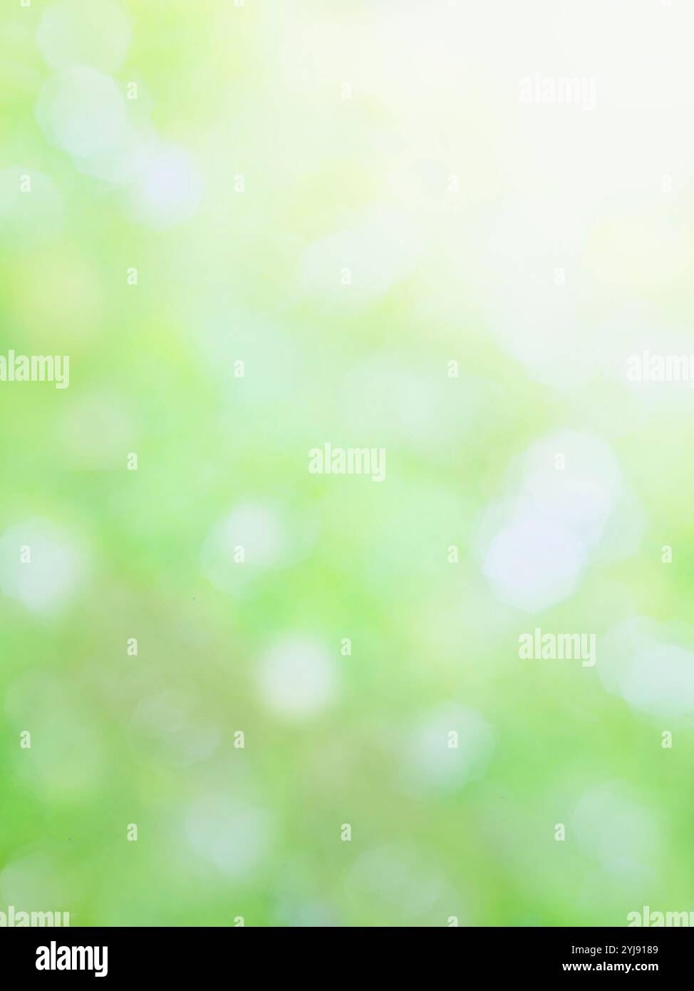 Refreshing green background hi-res stock photography and images - Alamy