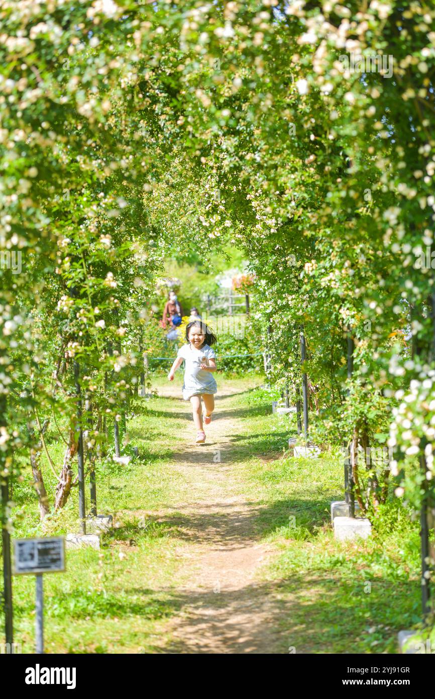 Running rose hi-res stock photography and images - Alamy