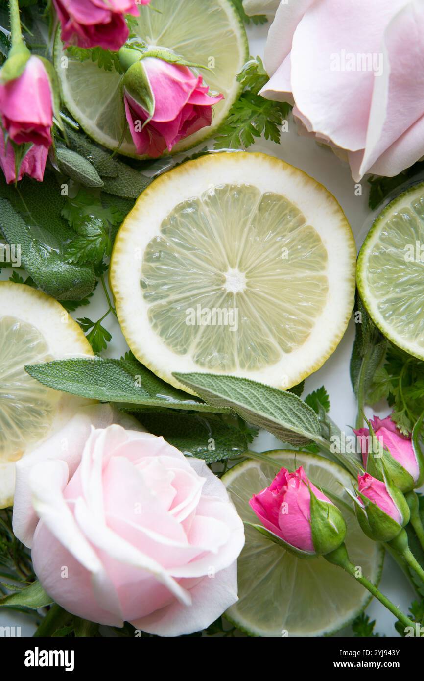 Lime green roses hi-res stock photography and images - Alamy