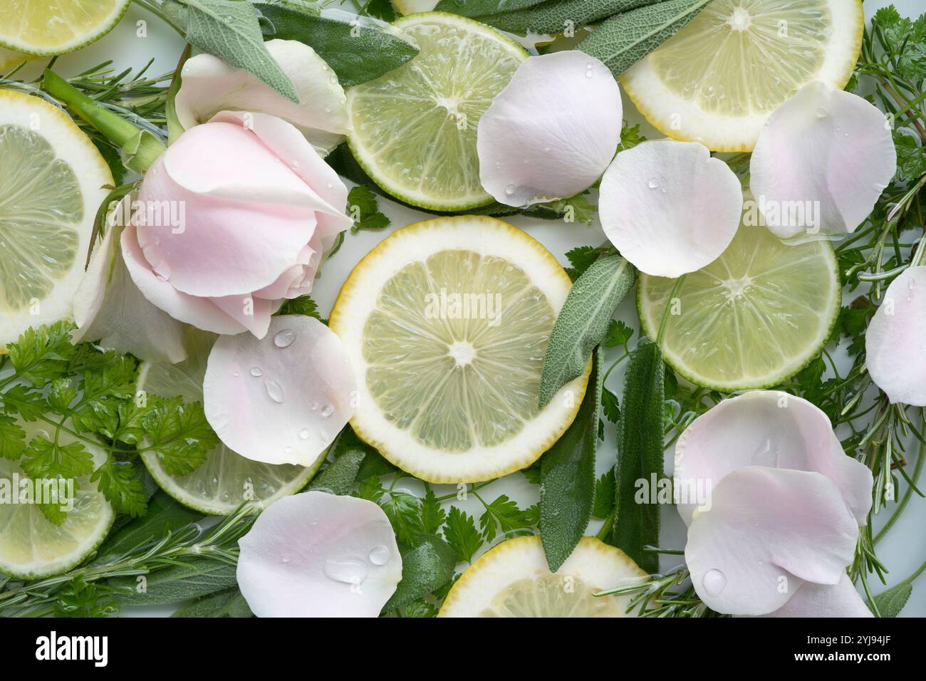 Lemons rose hi-res stock photography and images - Alamy