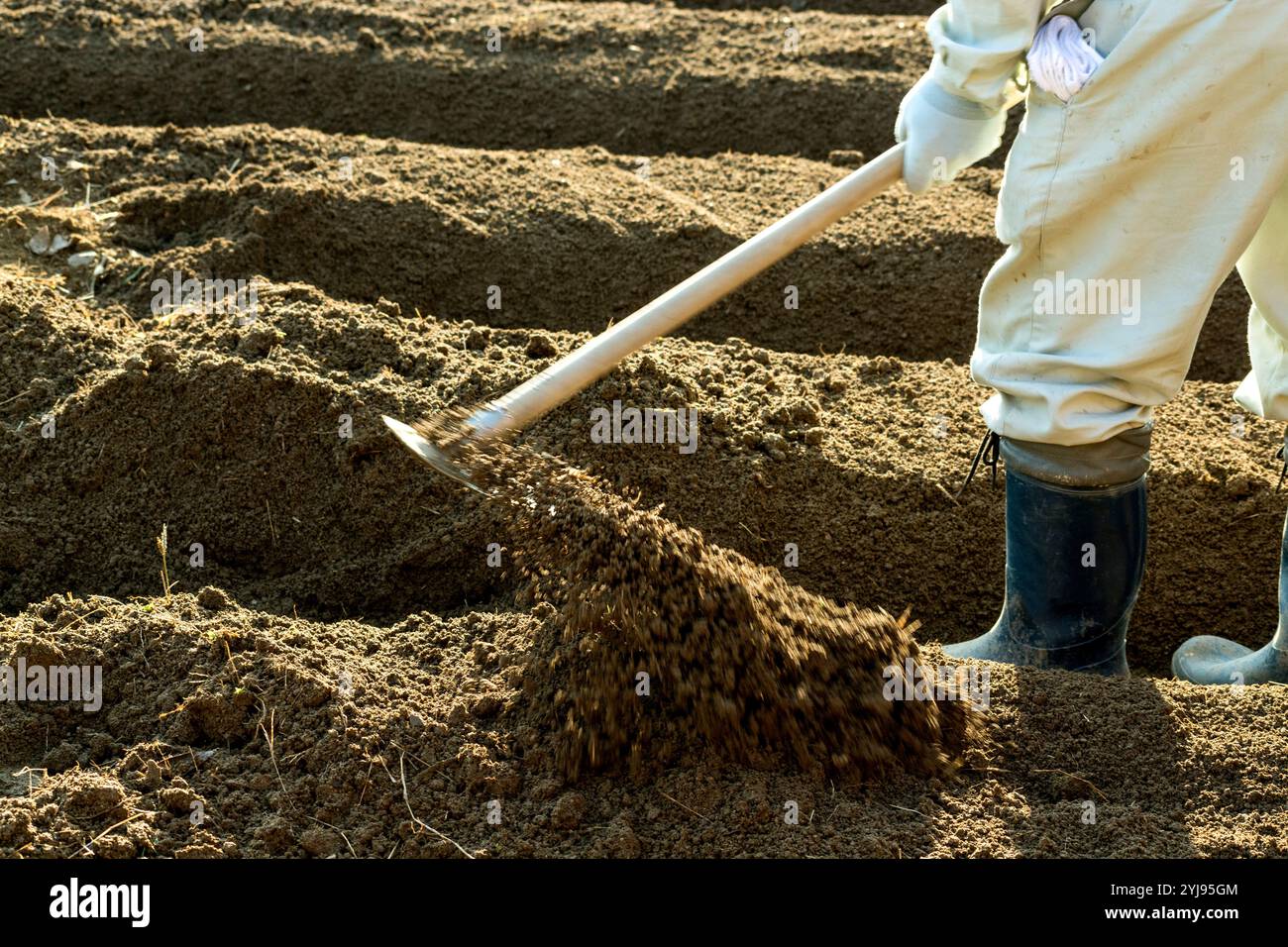 Man doing farm work Stock Photo - Alamy