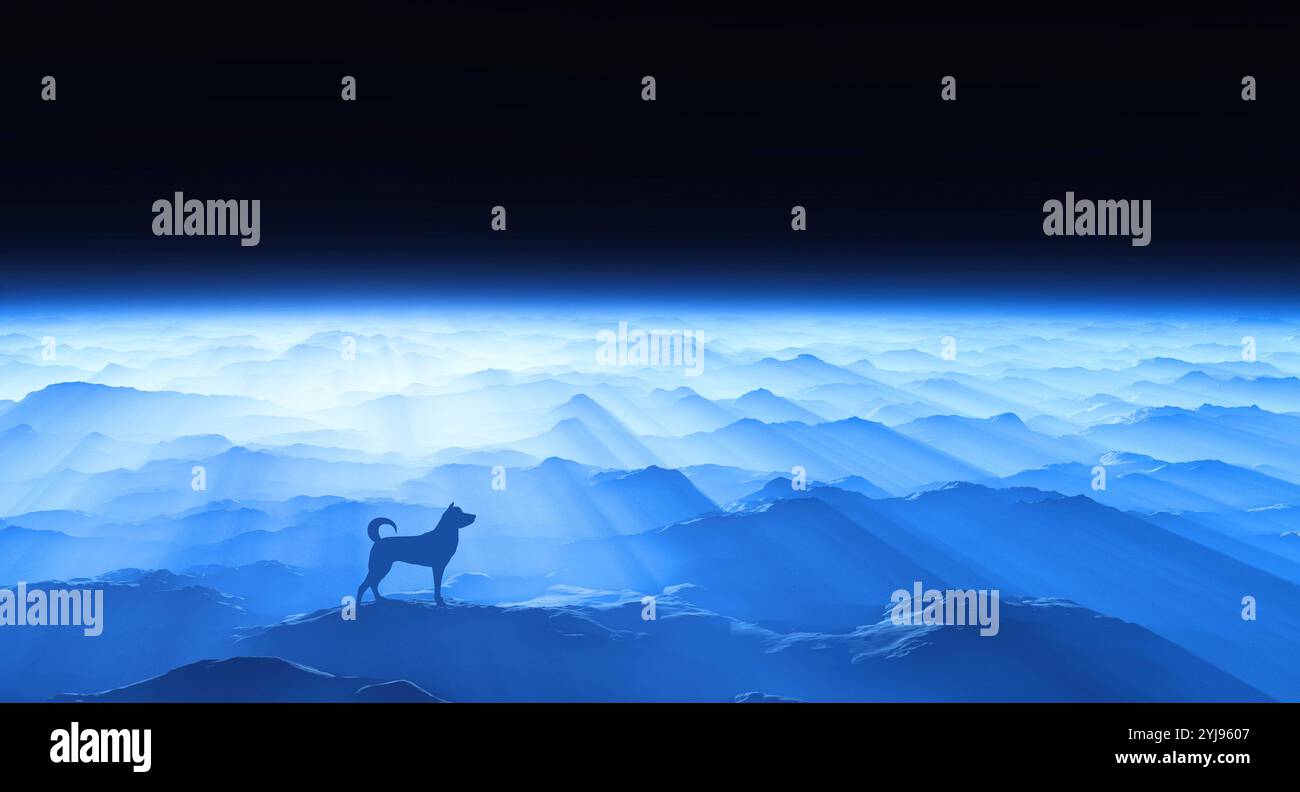Dawn and dog silhouette Stock Photo - Alamy