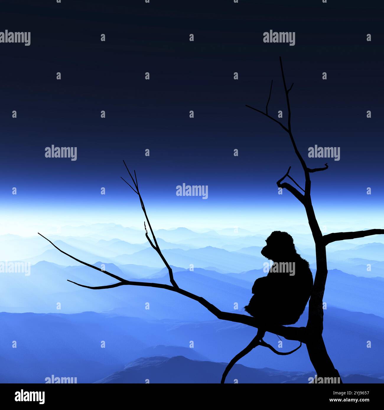 Monkey shadow hi-res stock photography and images - Alamy