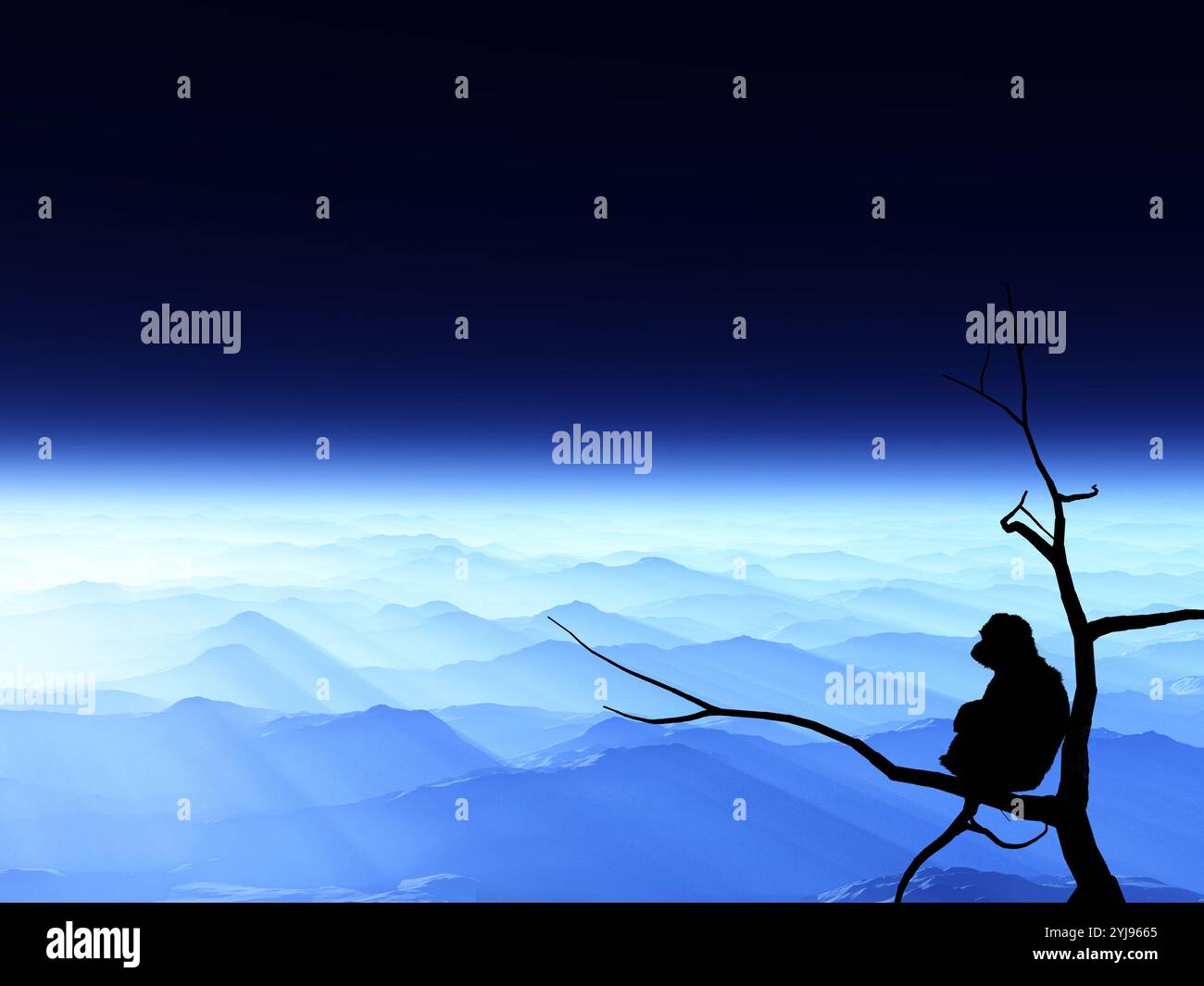 Dawn and monkey Stock Photo - Alamy