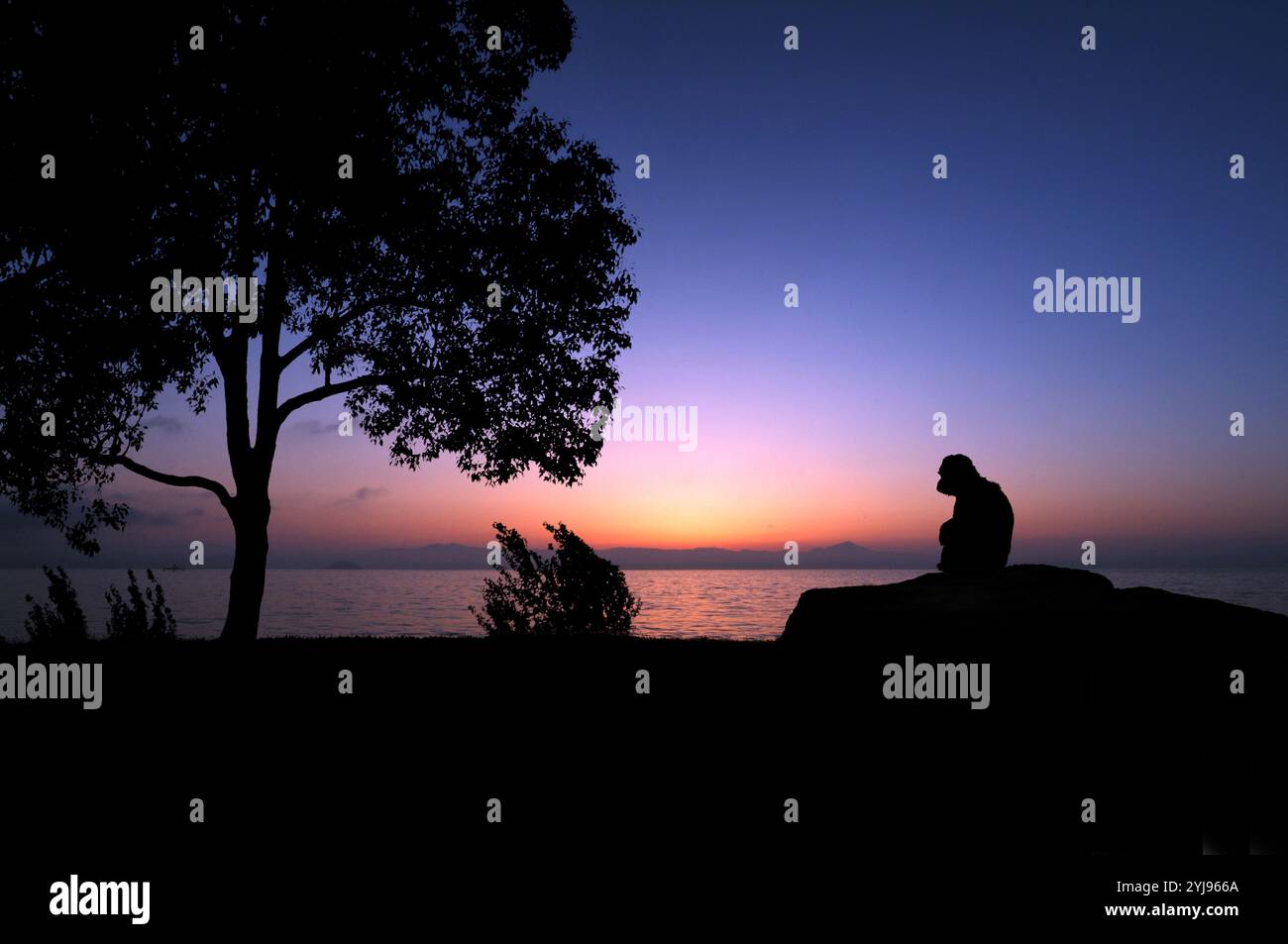 Dawn and monkey Stock Photo - Alamy