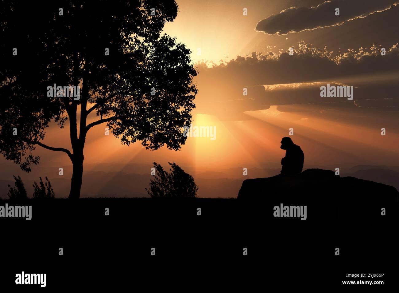Dawn and monkey Stock Photo - Alamy