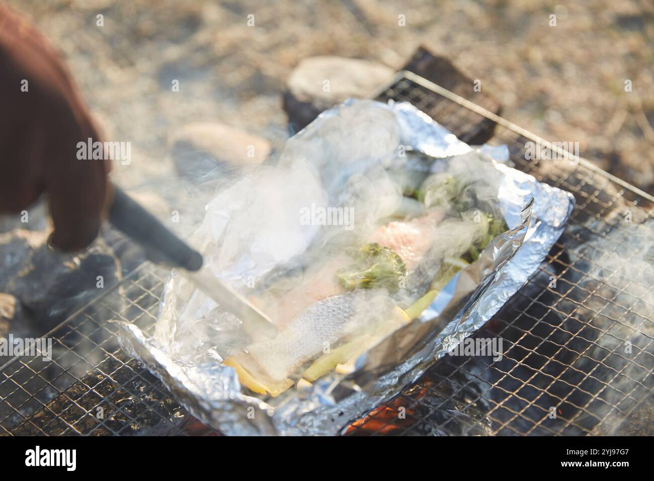 Foil tree hi-res stock photography and images - Alamy