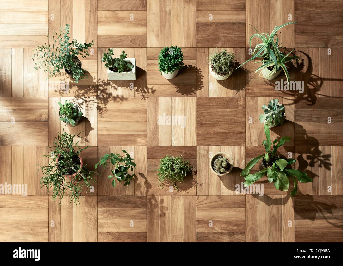 Checkerboard squares hi-res stock photography and images - Alamy