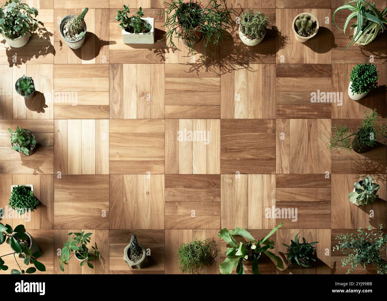 Checkerboard squares hi-res stock photography and images - Alamy