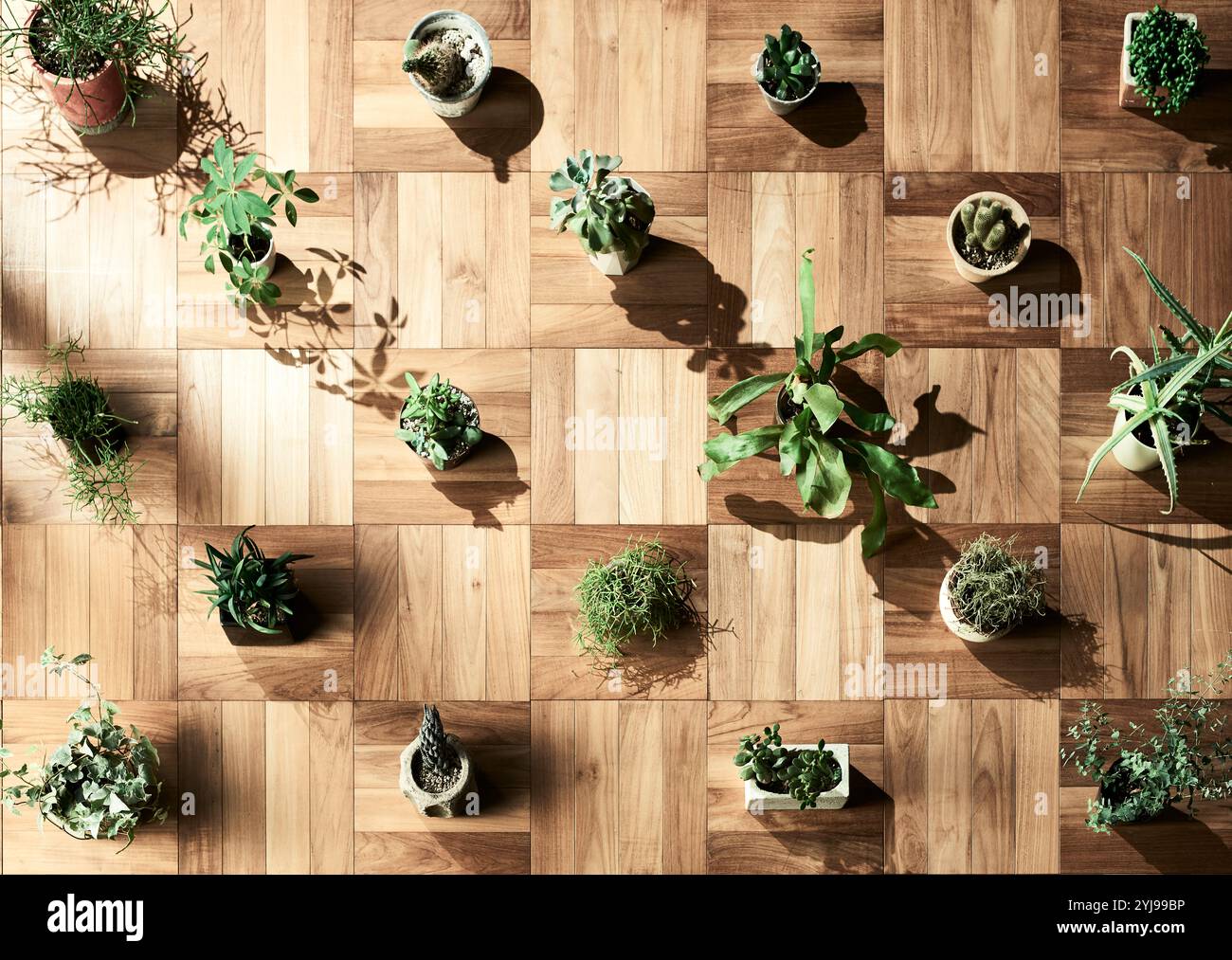 Checkerboard squares hi-res stock photography and images - Alamy