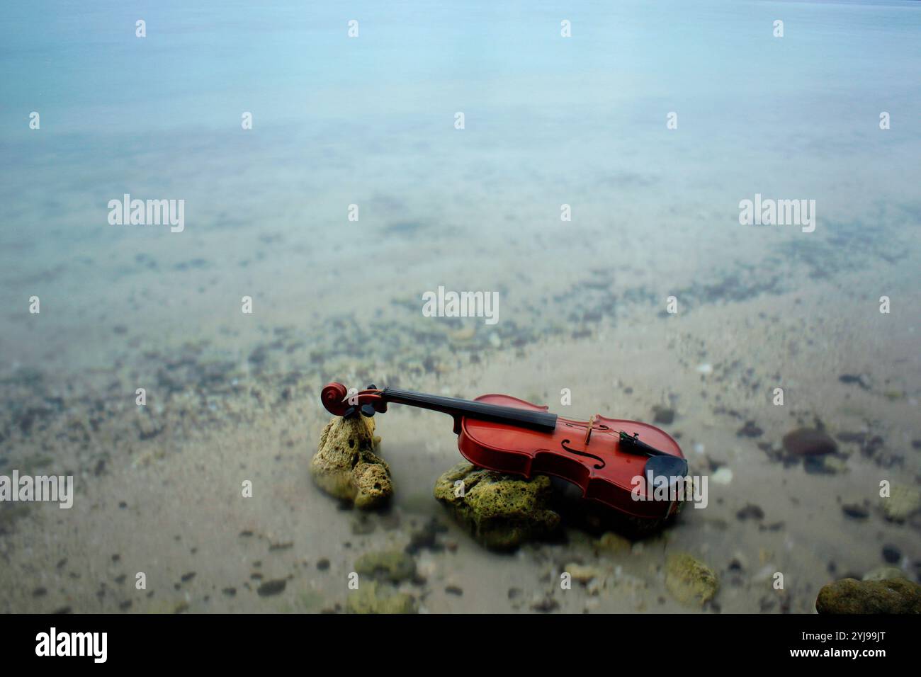 violin lying on the rock by the beach Stock Photo - Alamy