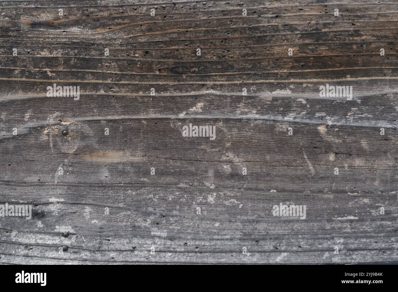 Cedar wall hi-res stock photography and images - Alamy