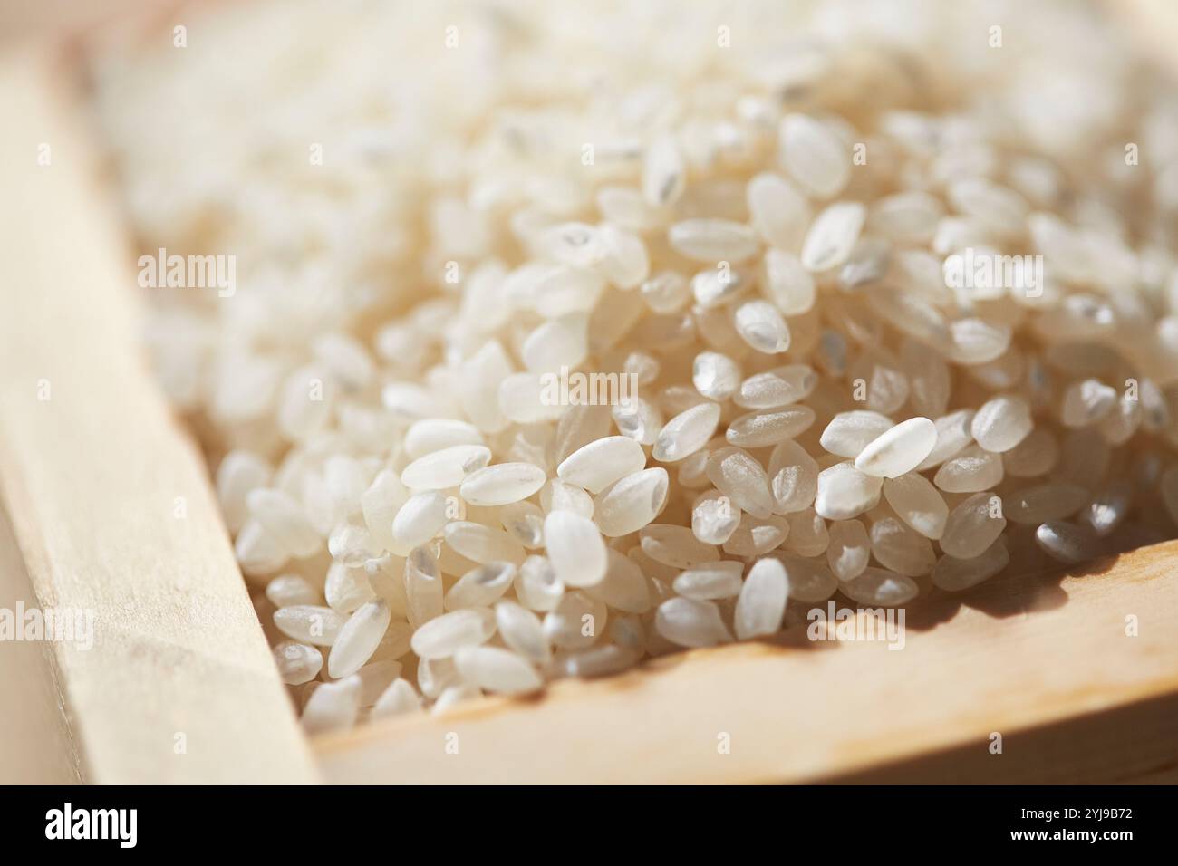 Rice in a square Stock Photo - Alamy