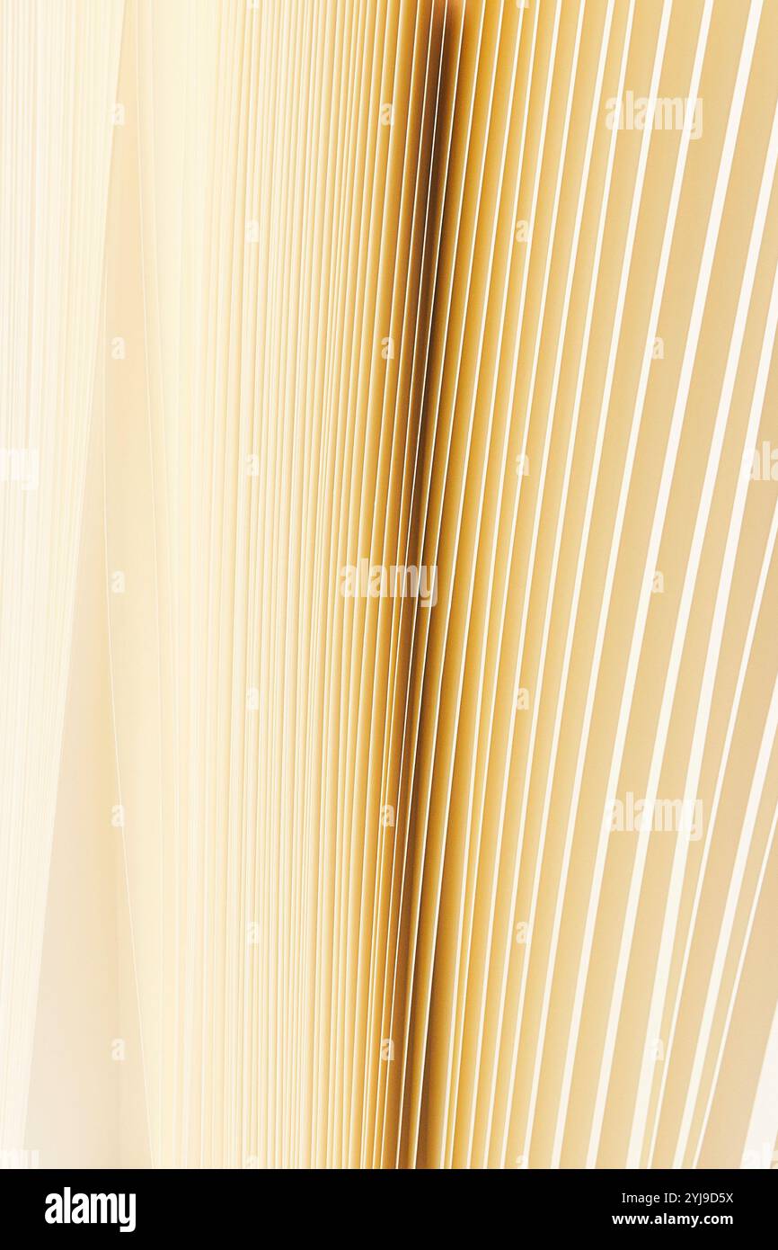 Pages of a book Stock Photo - Alamy