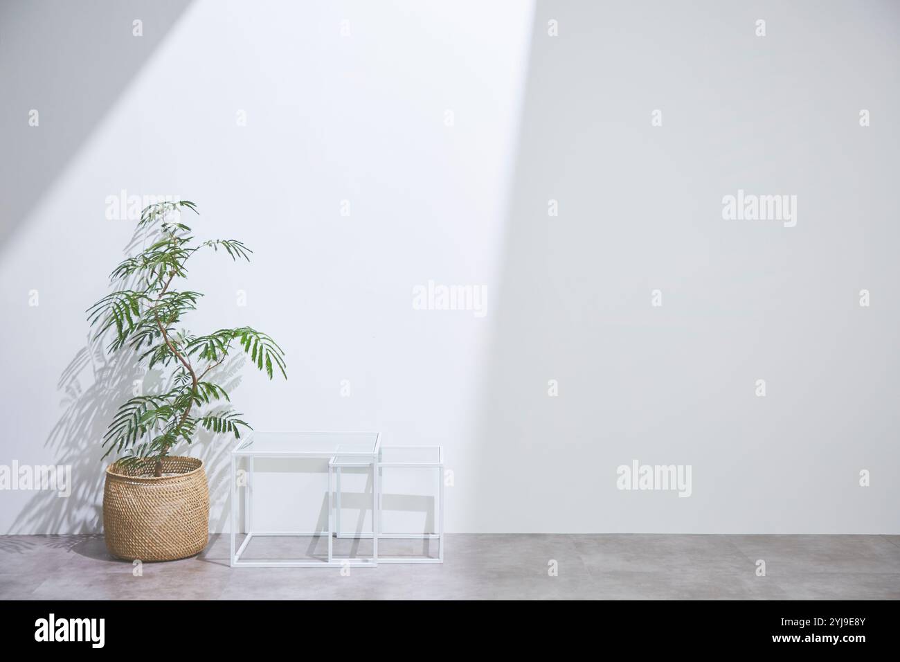 Plants and table in the simple room Stock Photo - Alamy