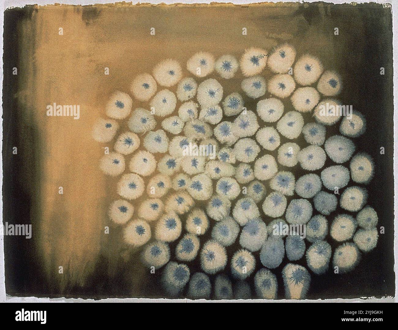 Bleckner ross hi-res stock photography and images - Alamy