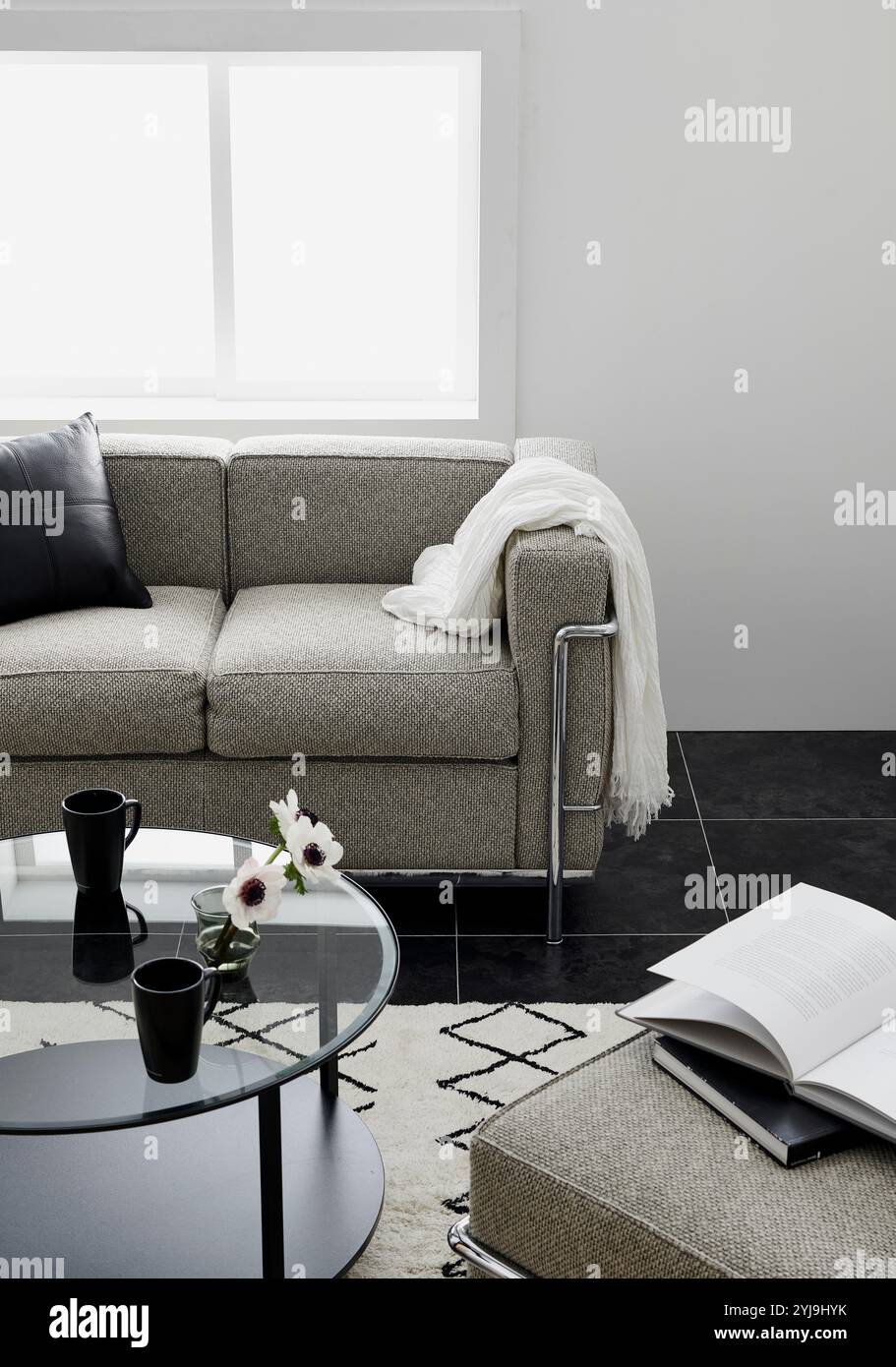 Monotone living room interior Stock Photo - Alamy