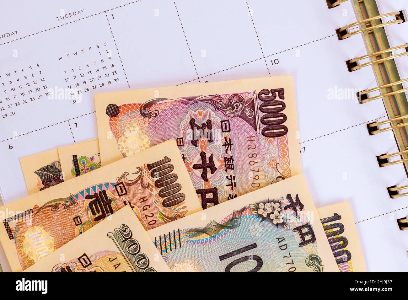 An organized planner with Japanese yen notes across pages, highlighting ...