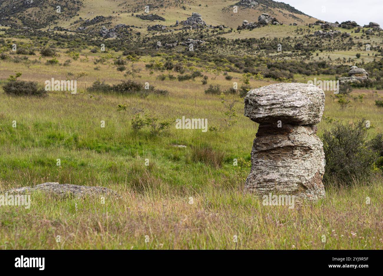 Standing stone rock schist Central Otago with beautiful landscape ...