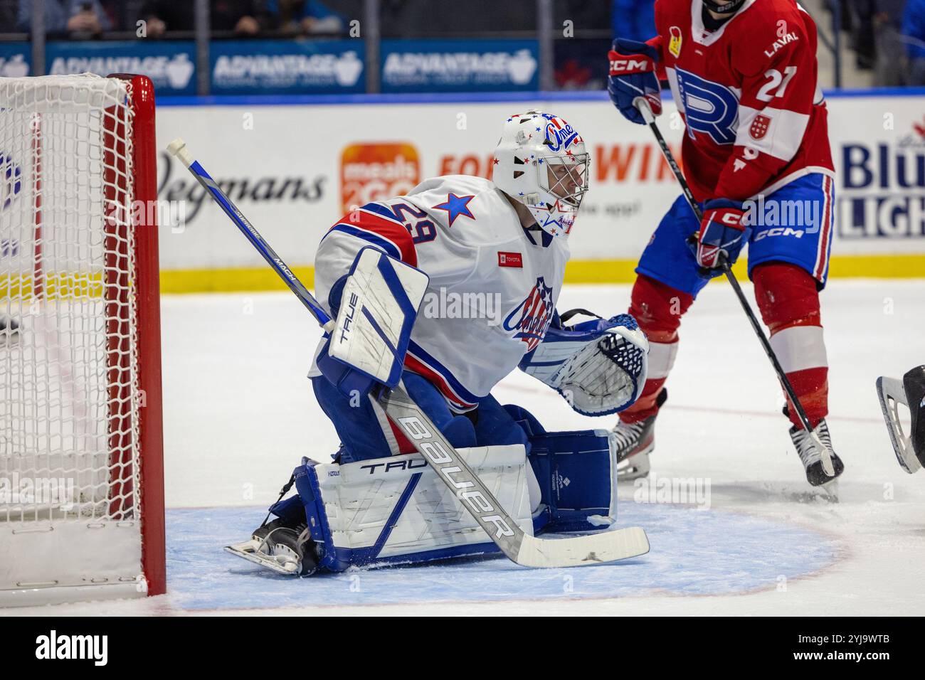Rochester, New York, USA. 13th Nov, 2024. Rochester Americans ...