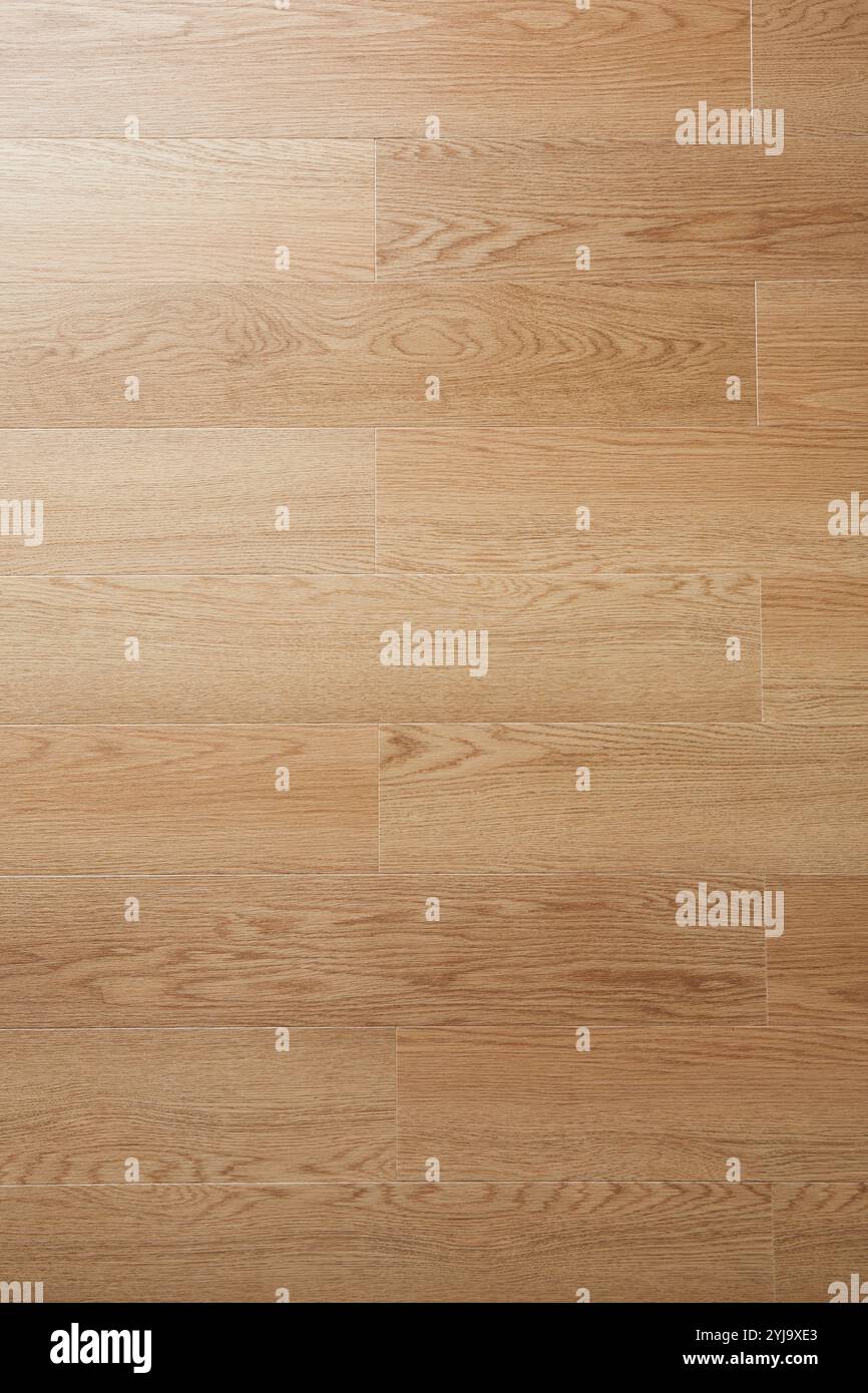 Interior materials, natural pattern and wooden backdrop concept ...