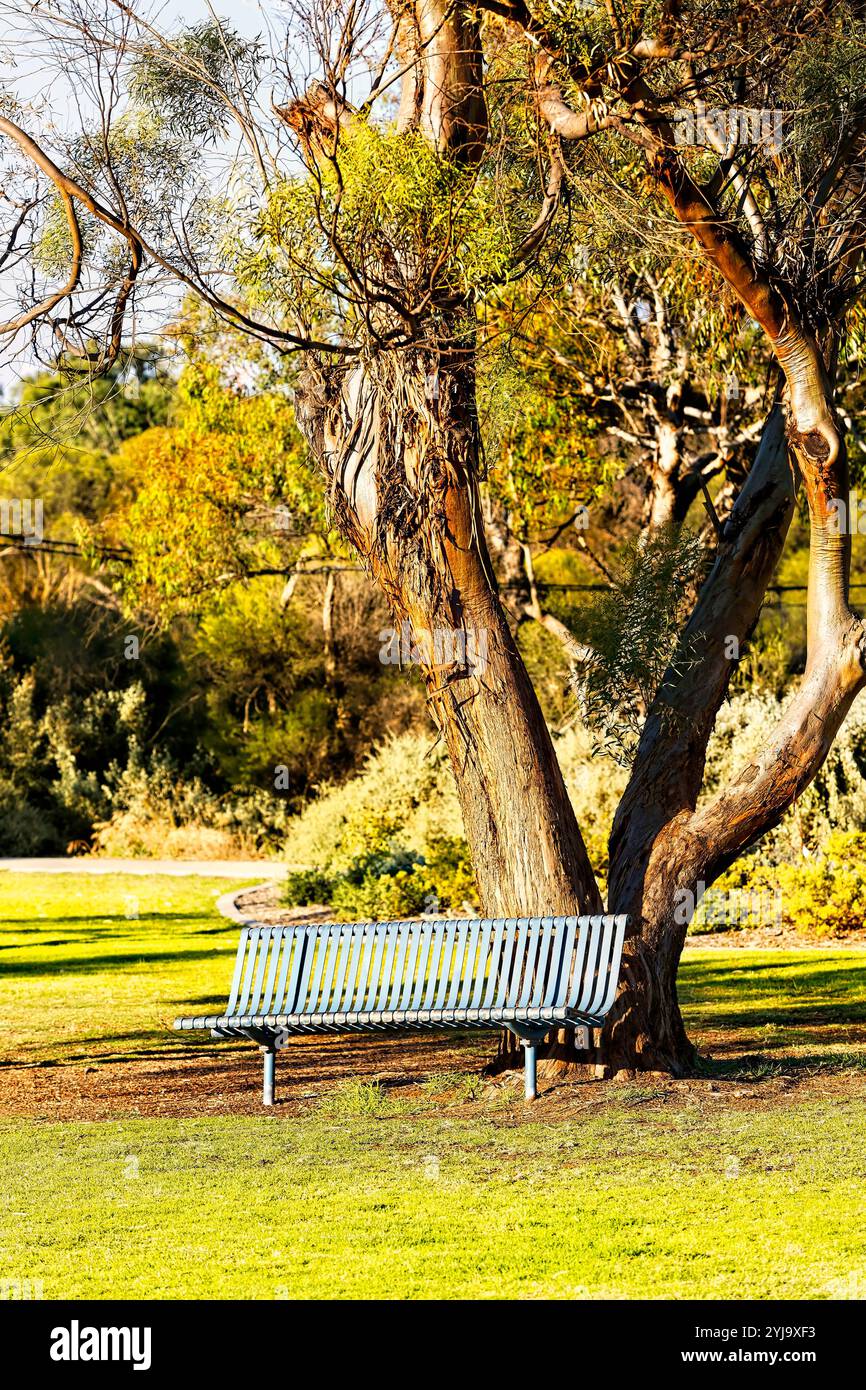 Metal bench seat under tree, York, Western Australia Stock Photo - Alamy