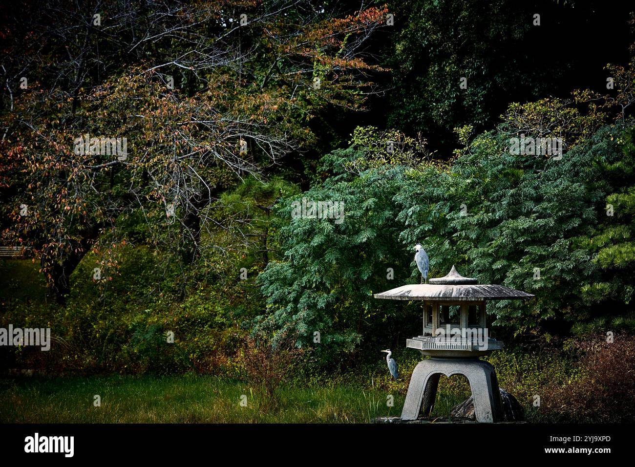 Old style lanterns hi-res stock photography and images - Alamy