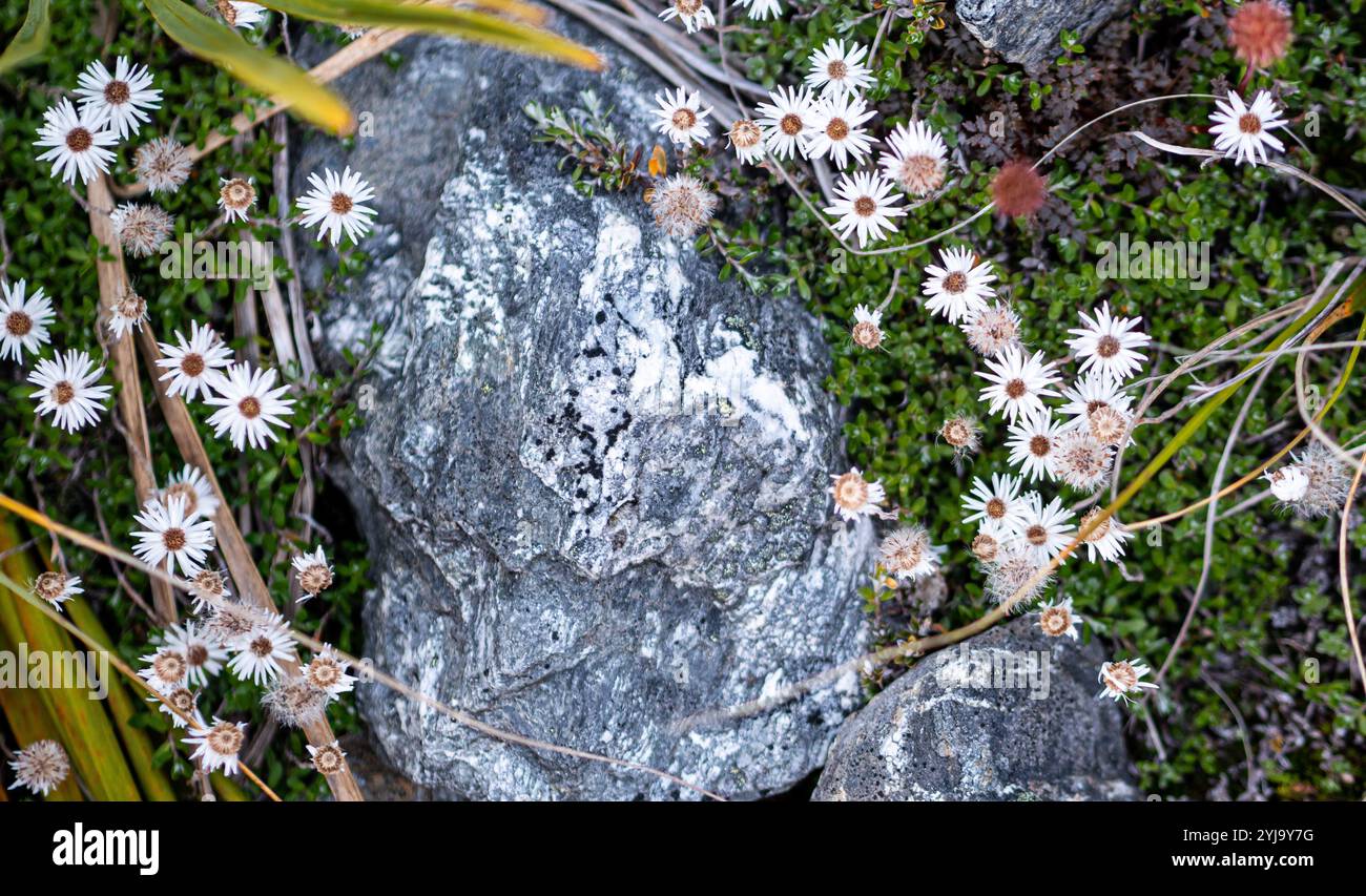 Fighting for conditions hi-res stock photography and images - Alamy