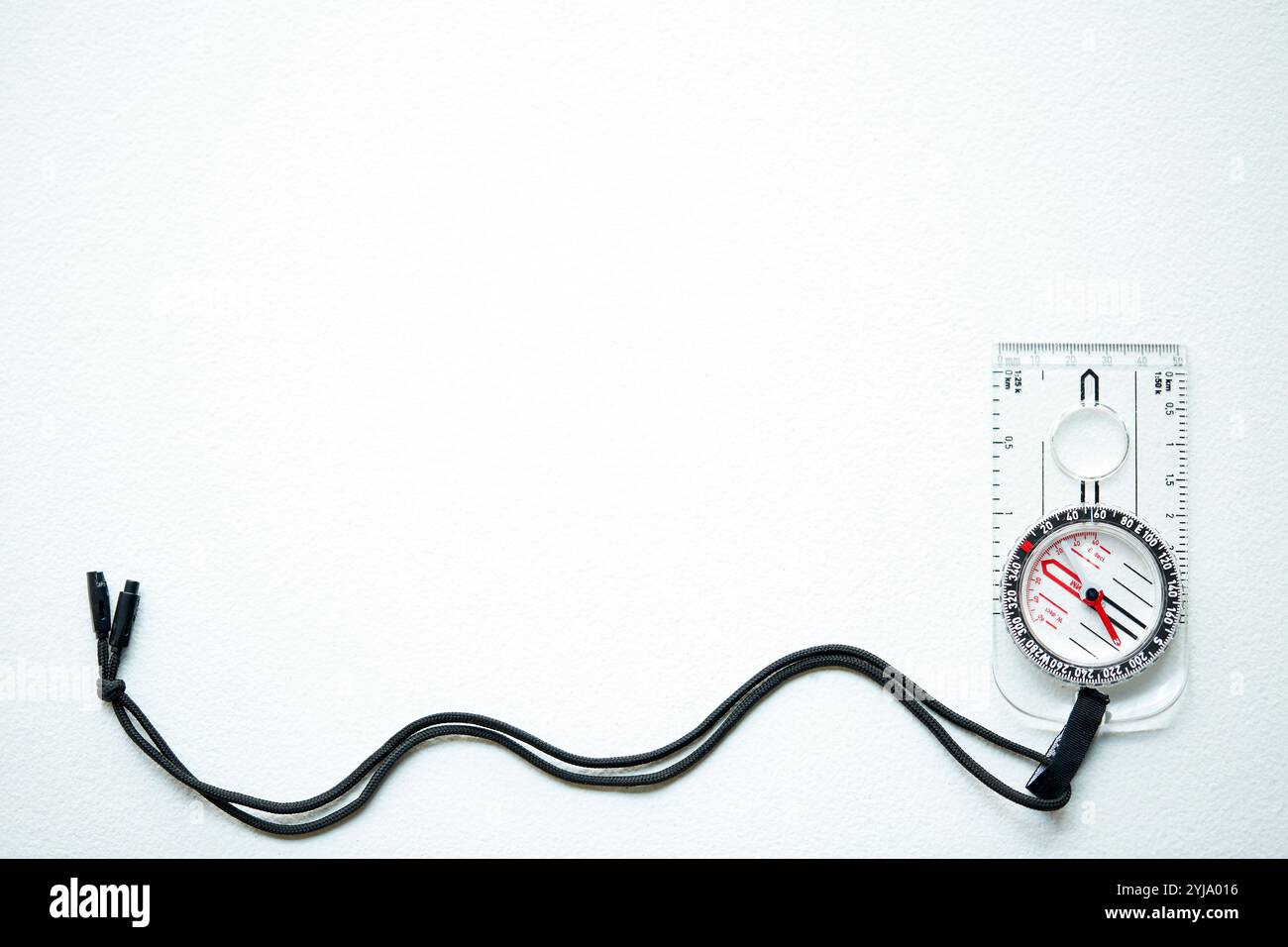 White-backed plate compass Stock Photo - Alamy