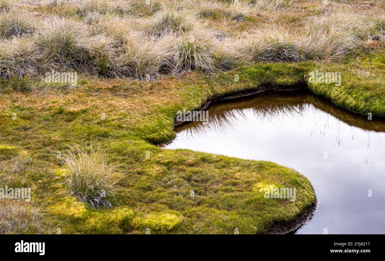 Rugged terrain mossy ground hi-res stock photography and images - Alamy